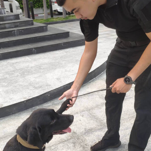 Home - Fast Strike Asia